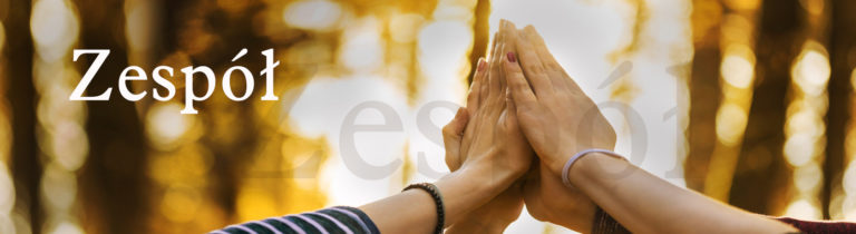 Zespół - Psychoterapia przez ciało
